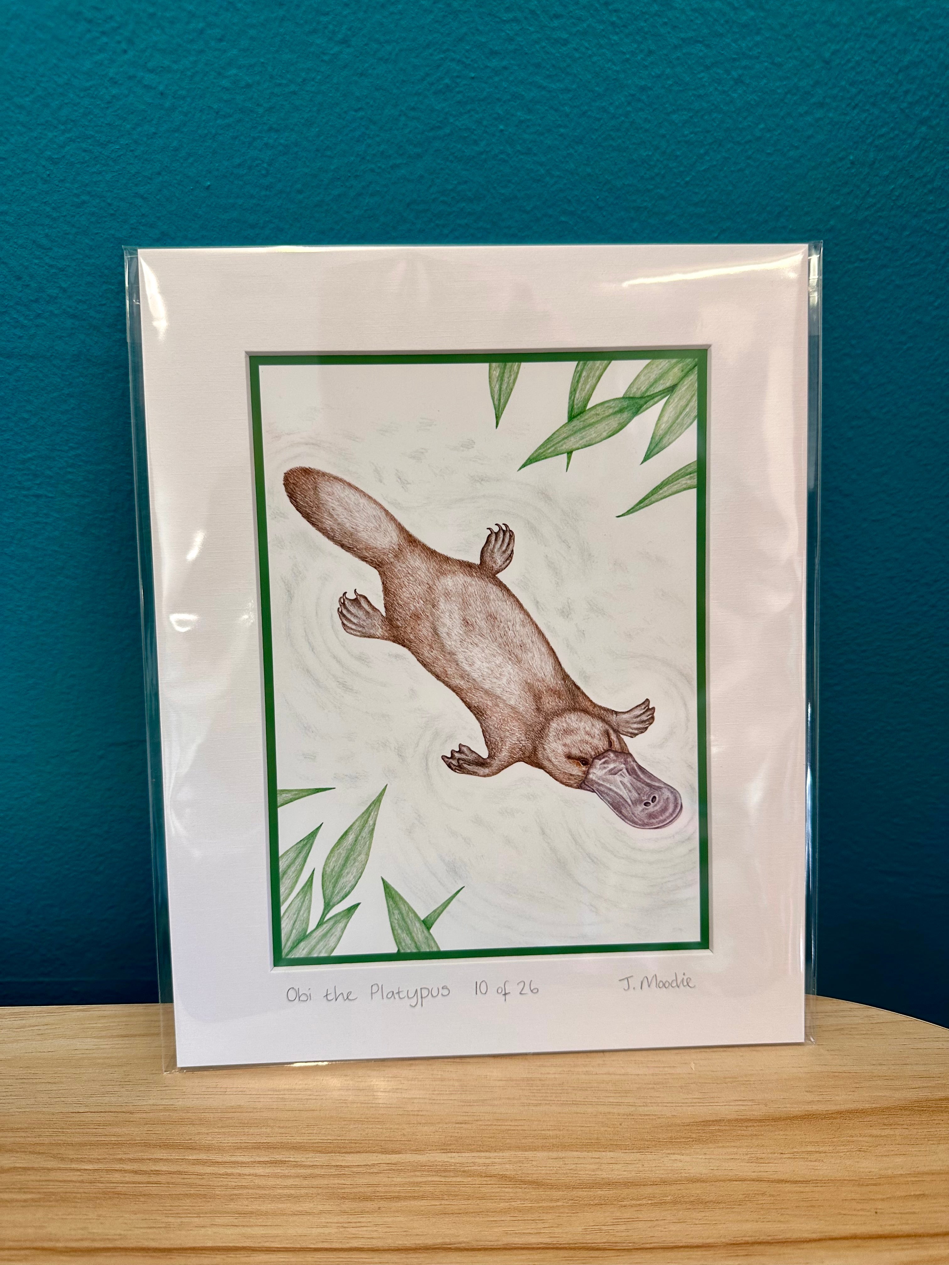 Jenny Moodie Design - Mounted Art Print: Platypus