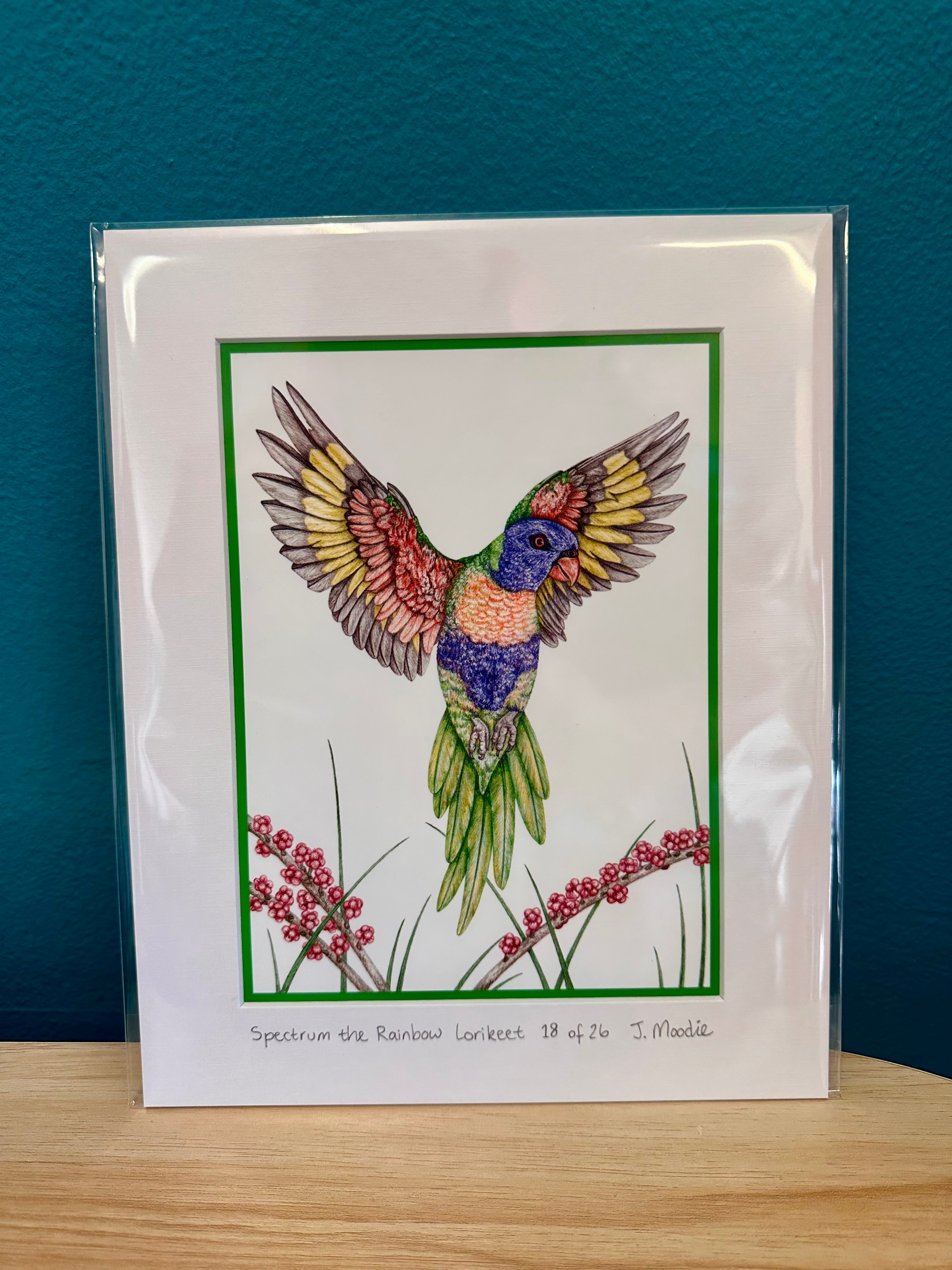 Jenny Moodie Design - Mounted Art Print: Lorikeet