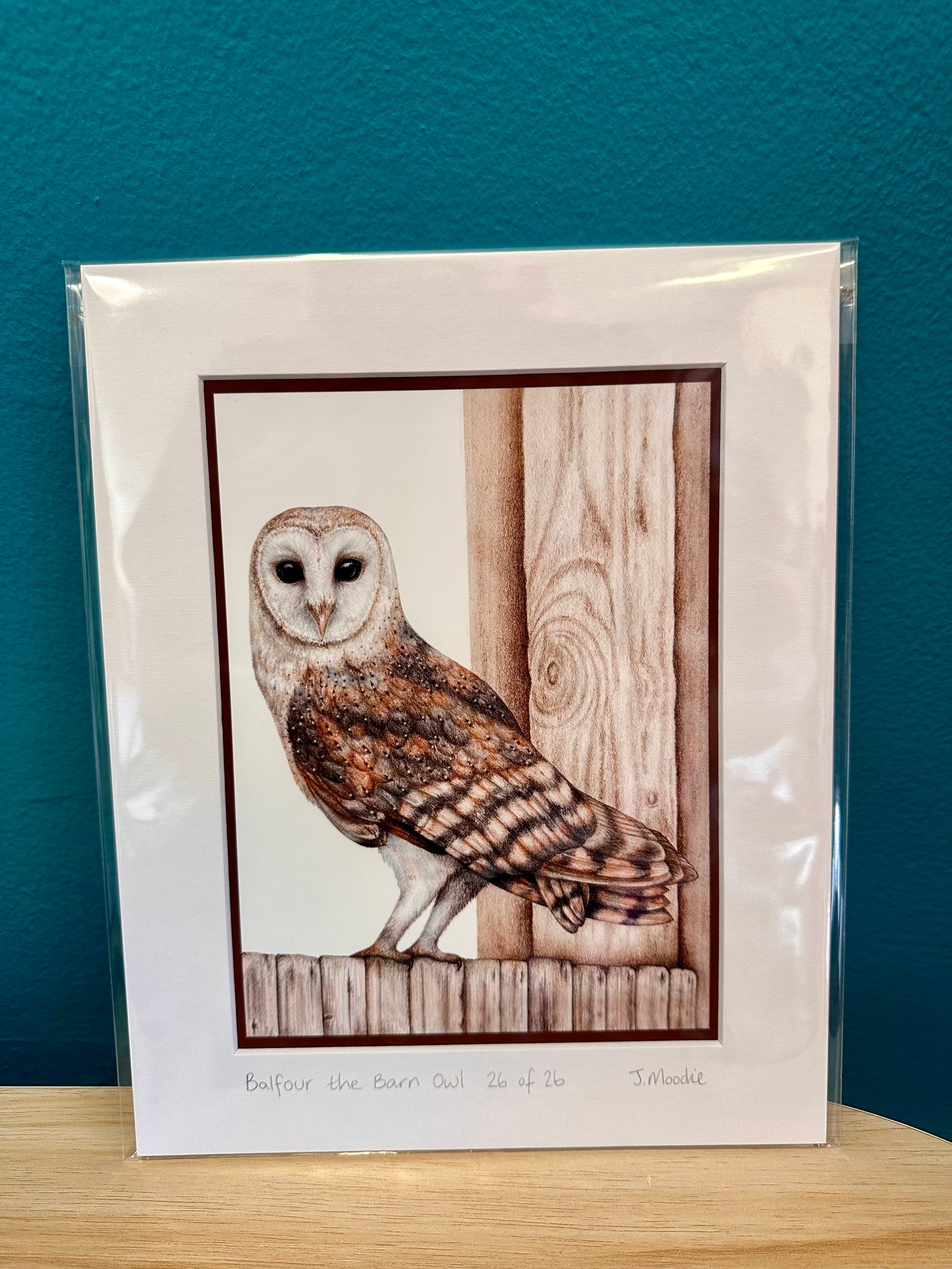 Jenny Moodie Design - Mounted Art Print: Owl