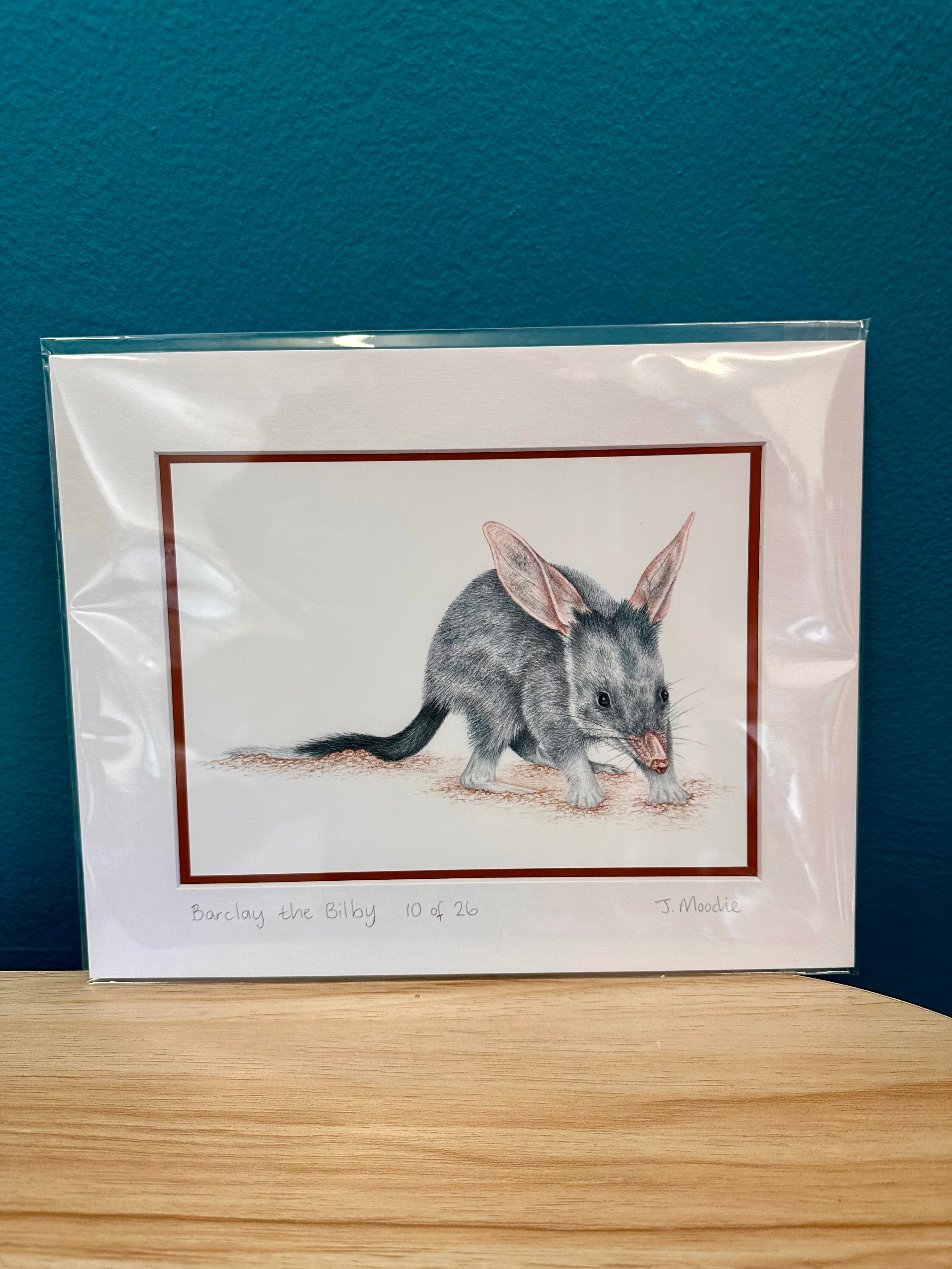 Jenny Moodie Design - Mounted Art Print: Bilby